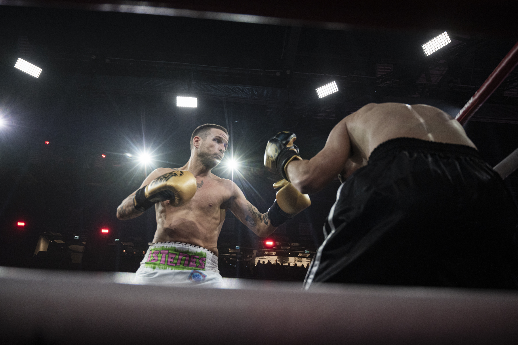 Istenes Bence megnyerte a Hell Boxing Kings döntőjét, övé a 39 millió ...